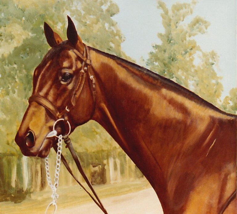 Fifty years on, Attfield still savours his first Plate with Norcliffe ...