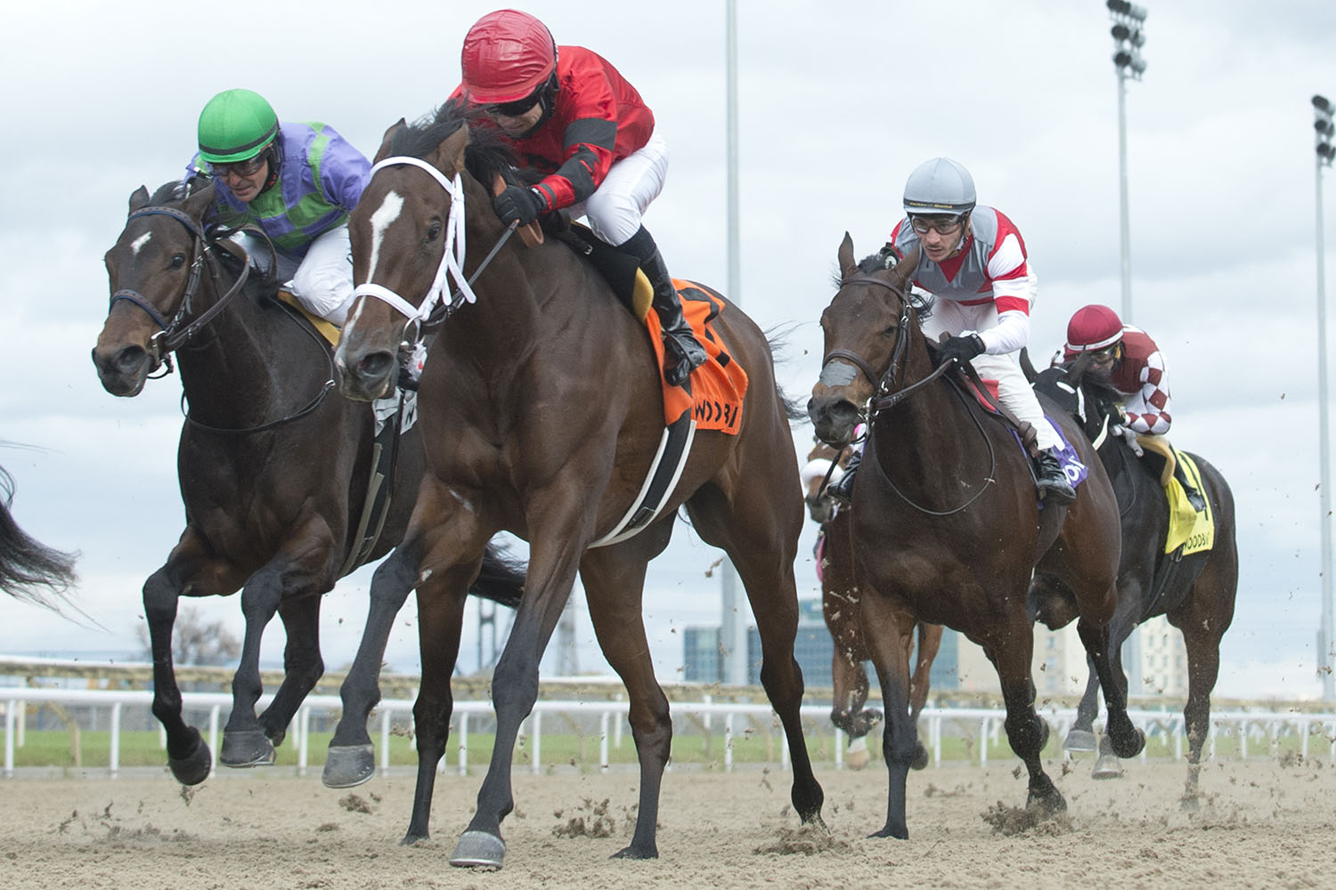 A. A. Azula’s Arch defeats distaffers in Grade 3 Maple Leaf - Woodbine ...