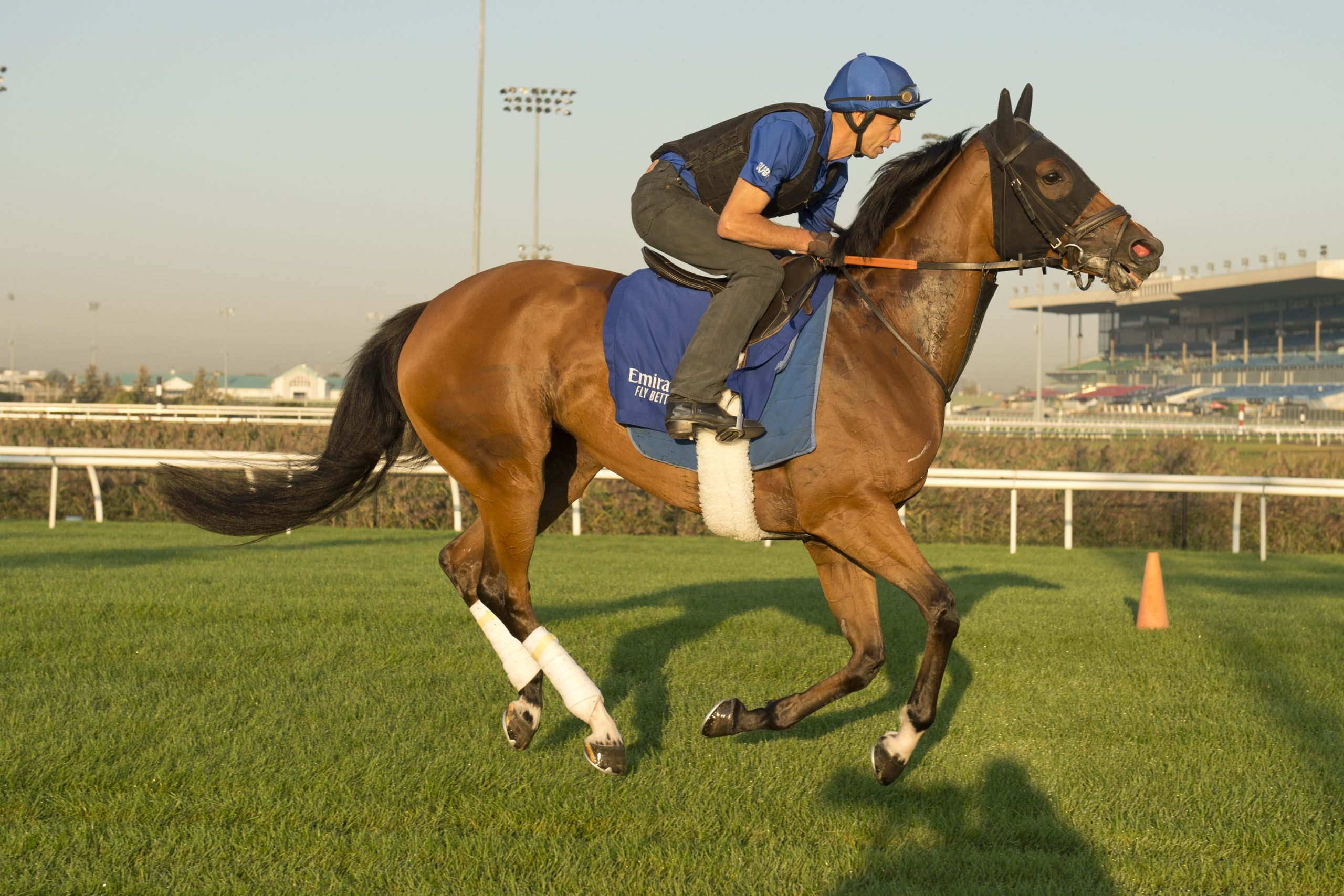 Star-stacked G1 E.P. Taylor includes With The Moonlight (IRE), Moira ...