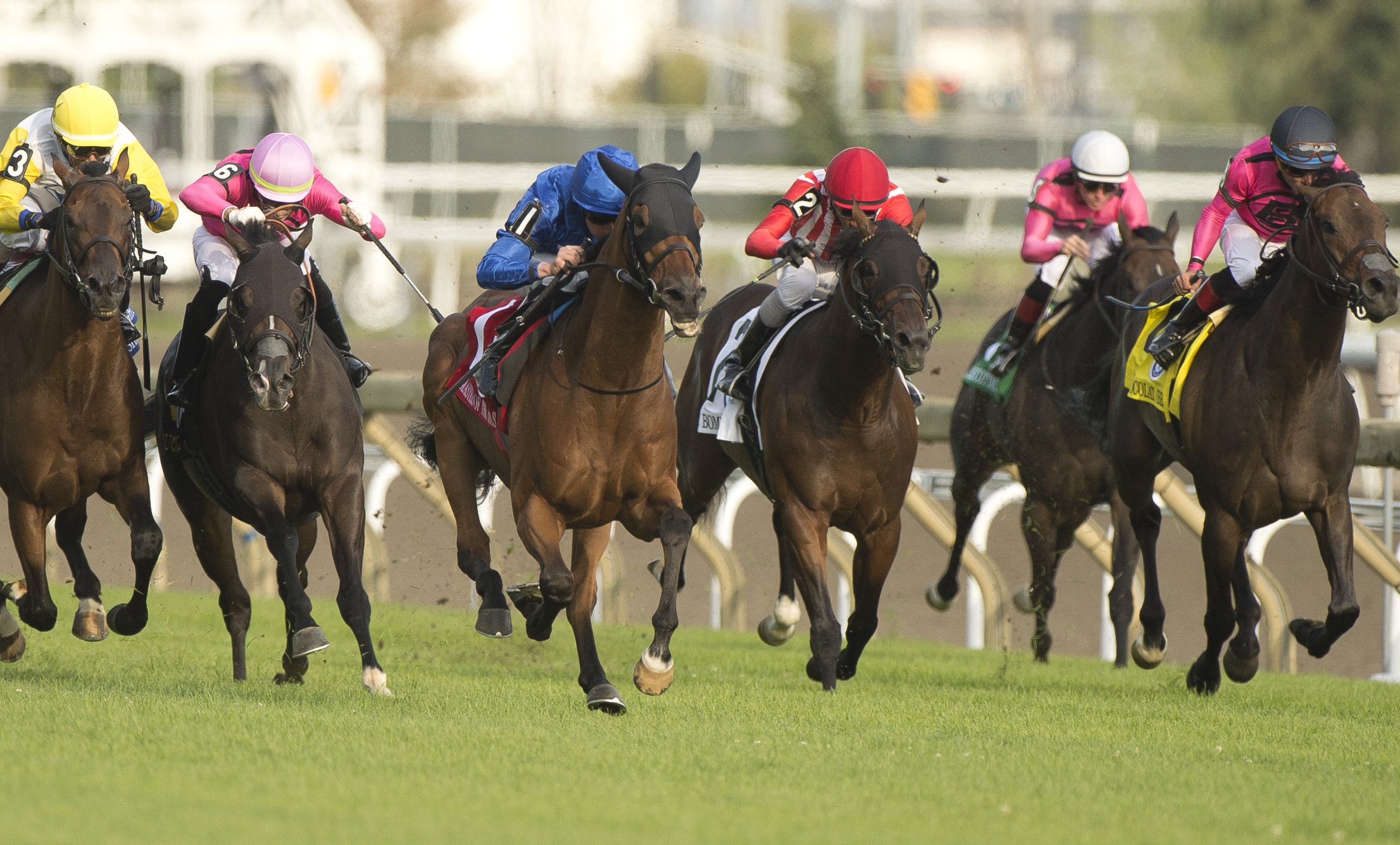 Grade 1 Rogers Woodbine Mile probable starters released - Woodbine ...
