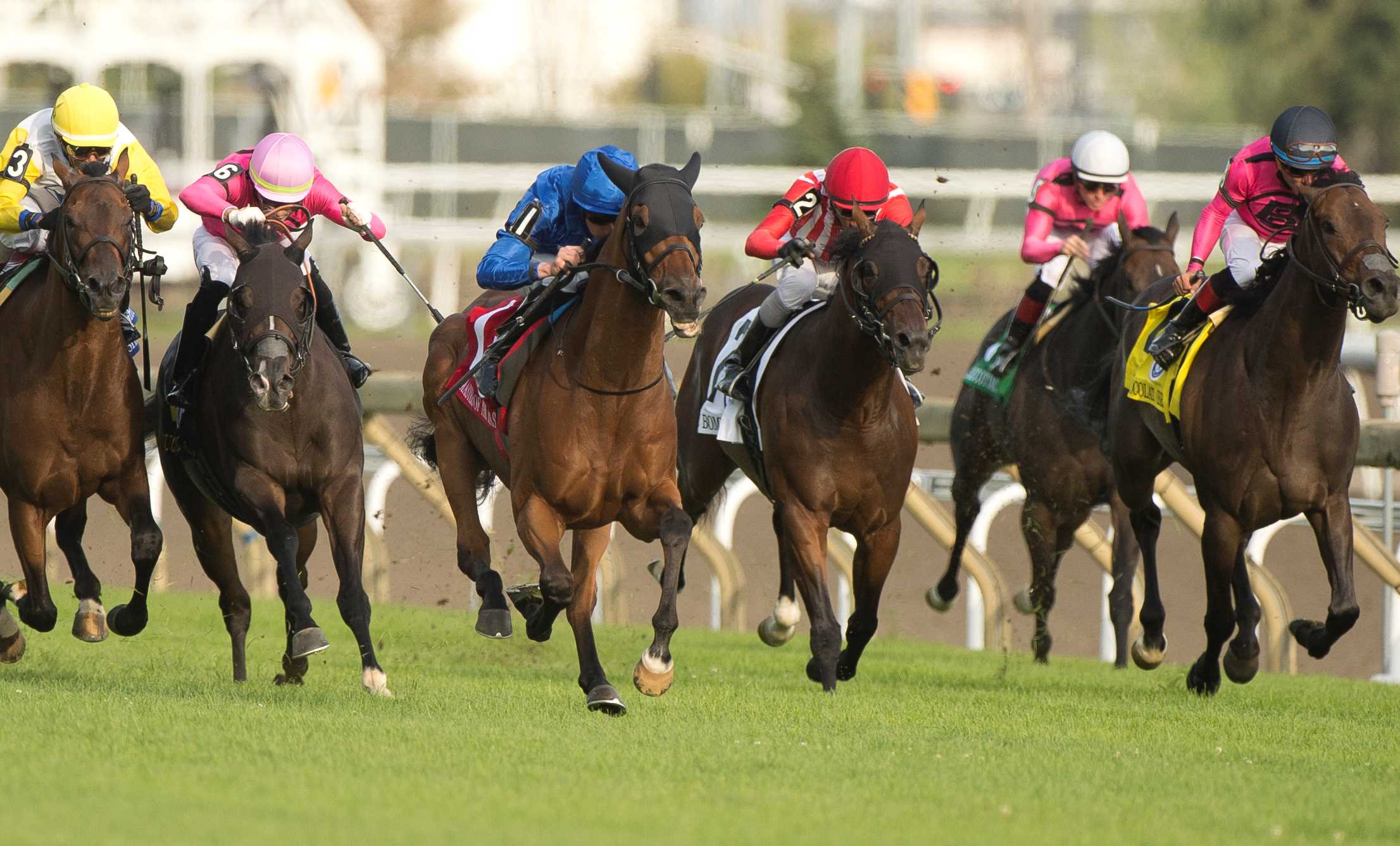 Super Saturday: Turf Champions Day at Woodbine - Woodbine Racetrack