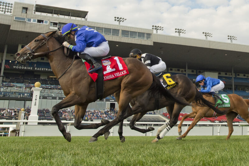 83 nominated to 2026 Canadian Triple Crown - Woodbine Racetrack