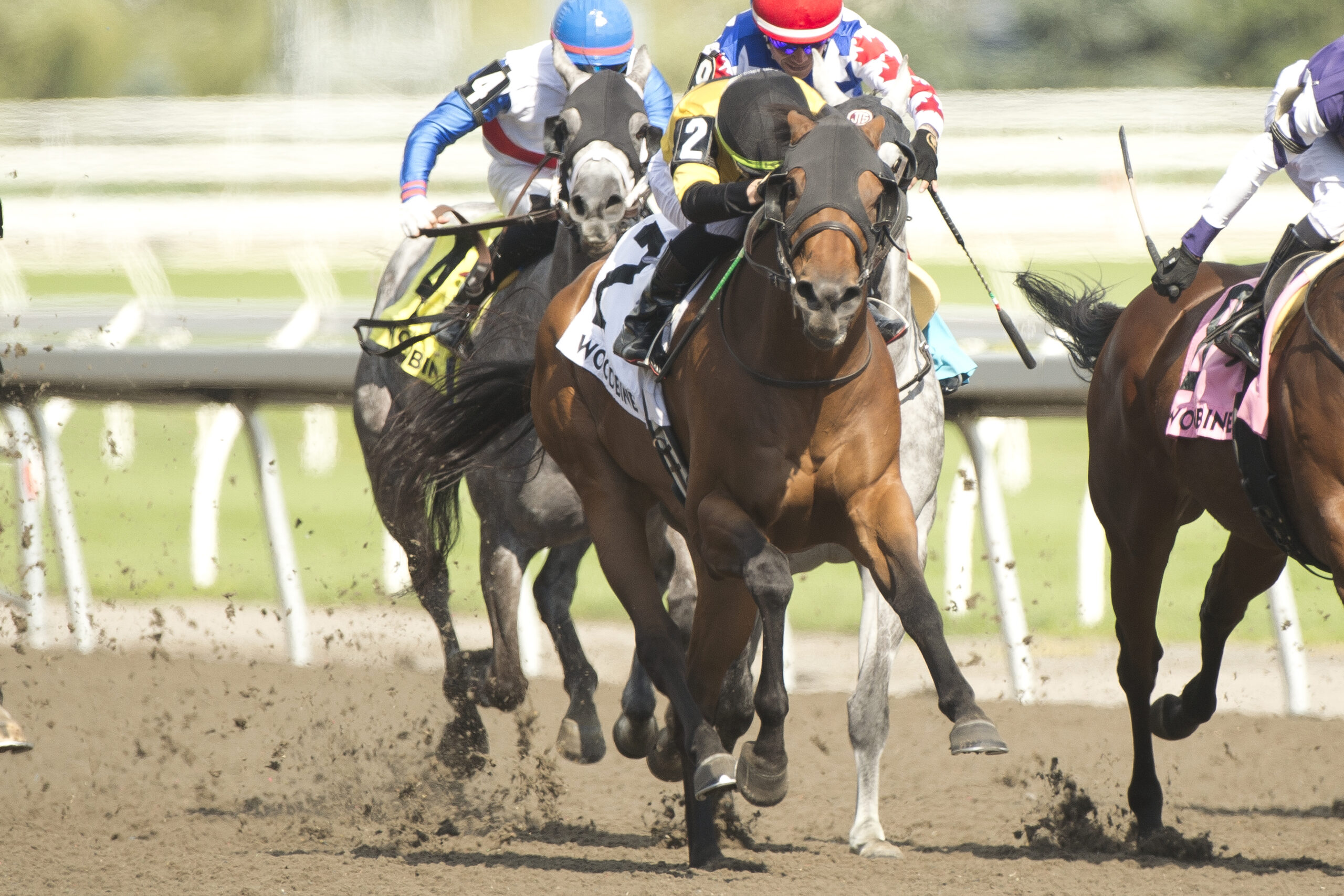 INSIDE THE NUMBERS: Best Betting Strategies for Stakes Races at ...