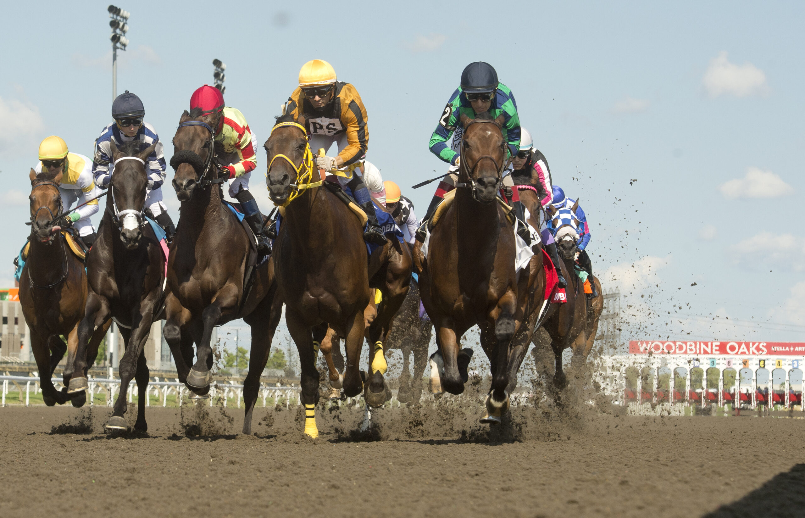 What's On Track: Pegasus Weekend at Gulfstream Park Brings a Fiery ...