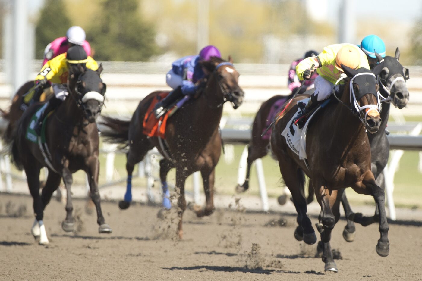 HPIbet Appreciation Day - Woodbine Racetrack