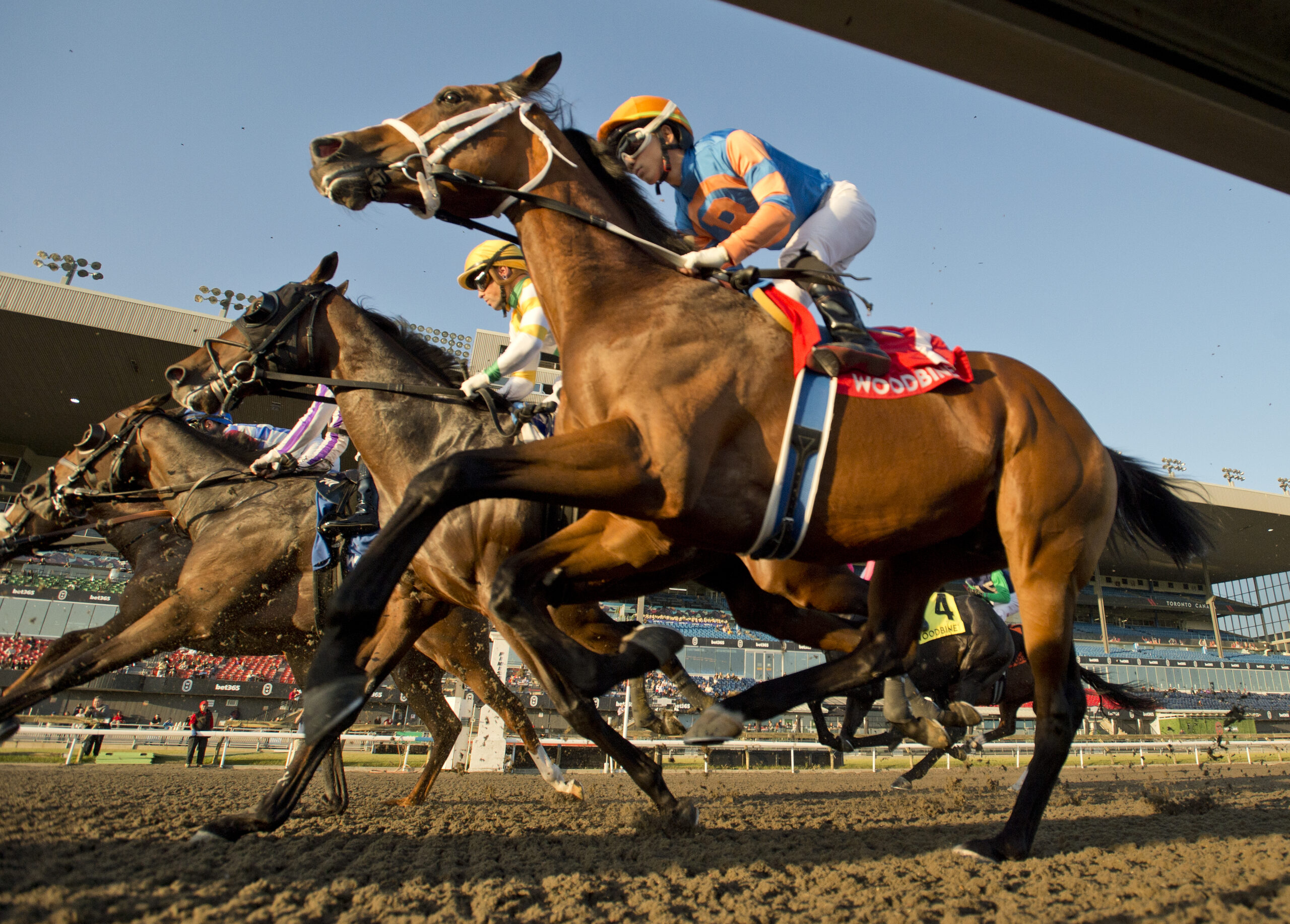 What's On Track: A Swap of Fall Meets in Kentucky Headlines Stakes ...