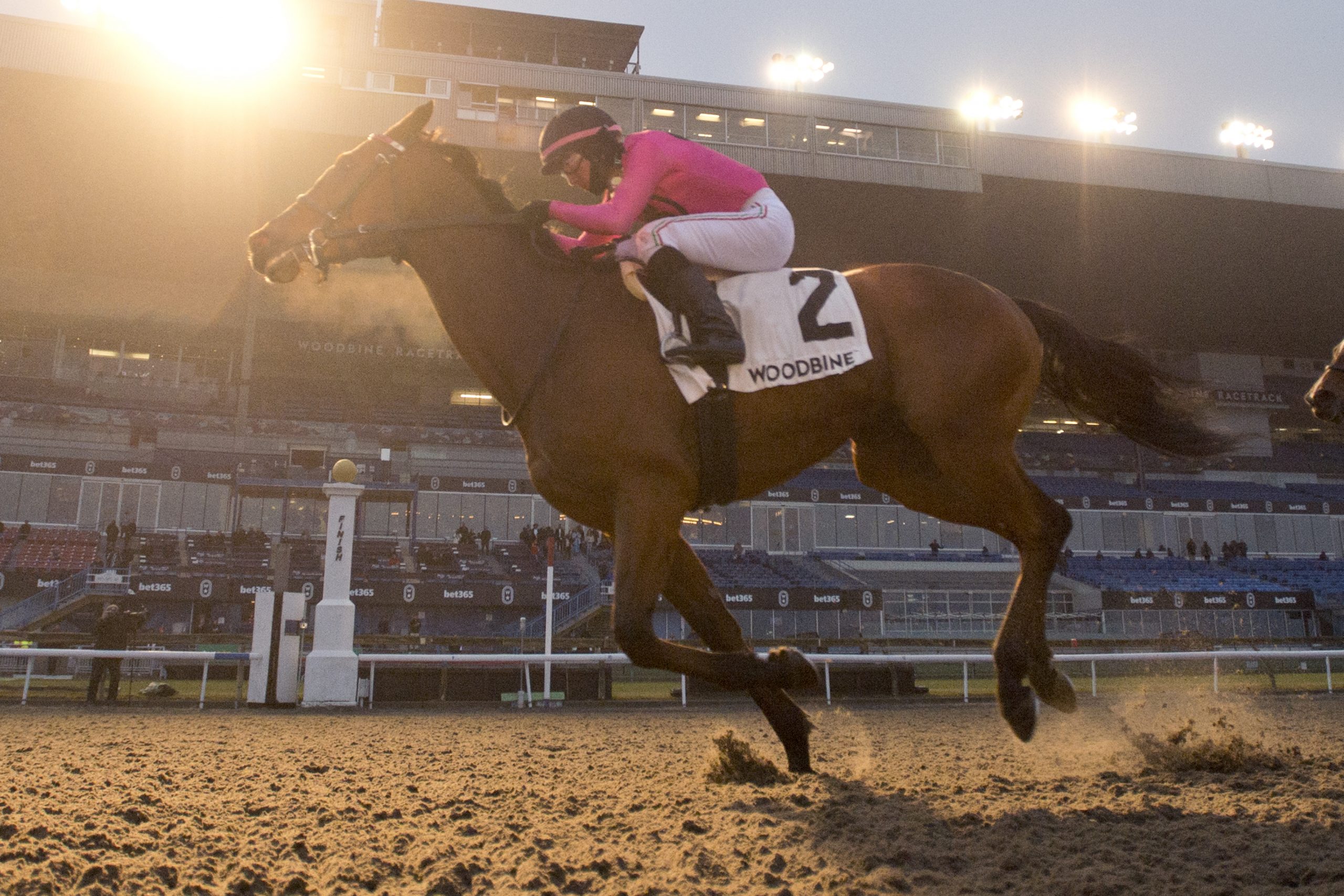 Conglomerate all business in Grade 3 Valedictory - Woodbine Racetrack
