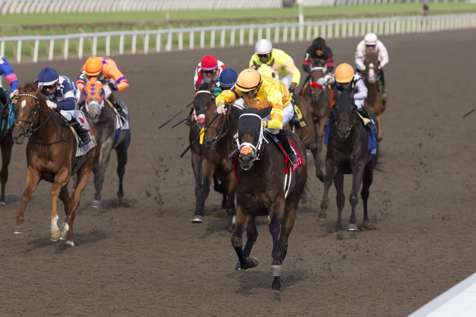 Mansetti magnificent in King’s Plate - Woodbine Racetrack