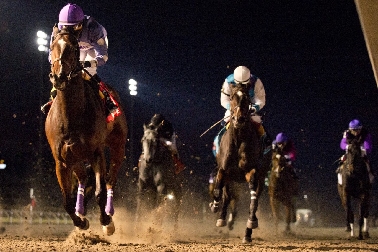 Watch and wager on world-class Thoroughbred racing - Woodbine Racetrack