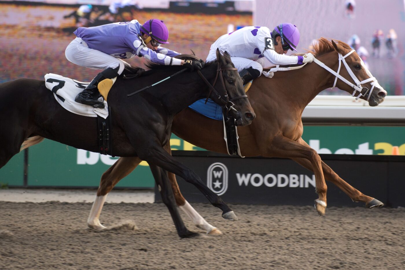 Inside Track for November 8-9 - Woodbine Racetrack