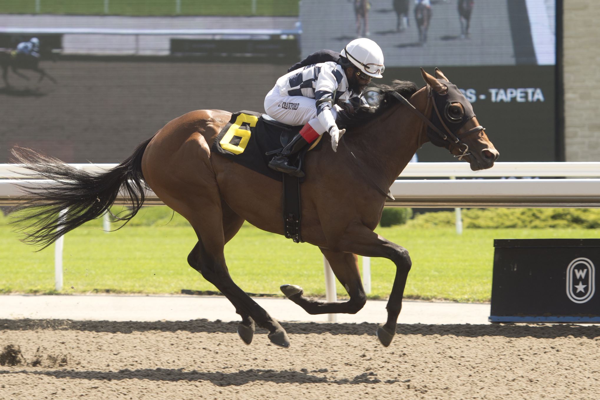 Old-fashioned work ethic leads Awesome Bourbon to Bull Page Stakes ...