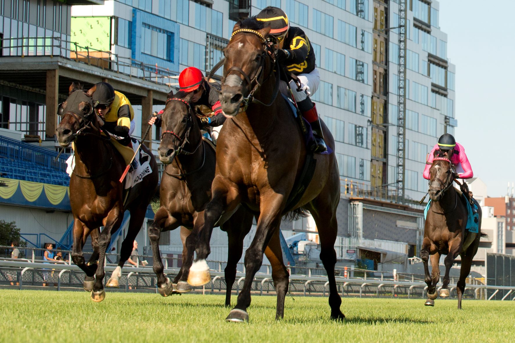 Bound for Nowhere bursts through for Grade 2 Highlander win - Woodbine ...