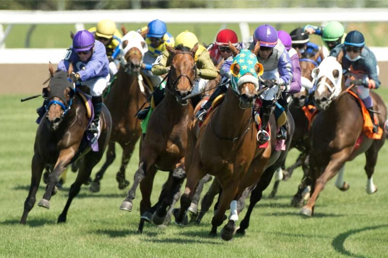 G1 Turf Champions Day: Rogers Woodbine Mile, bet365 Summer Stakes, and ...