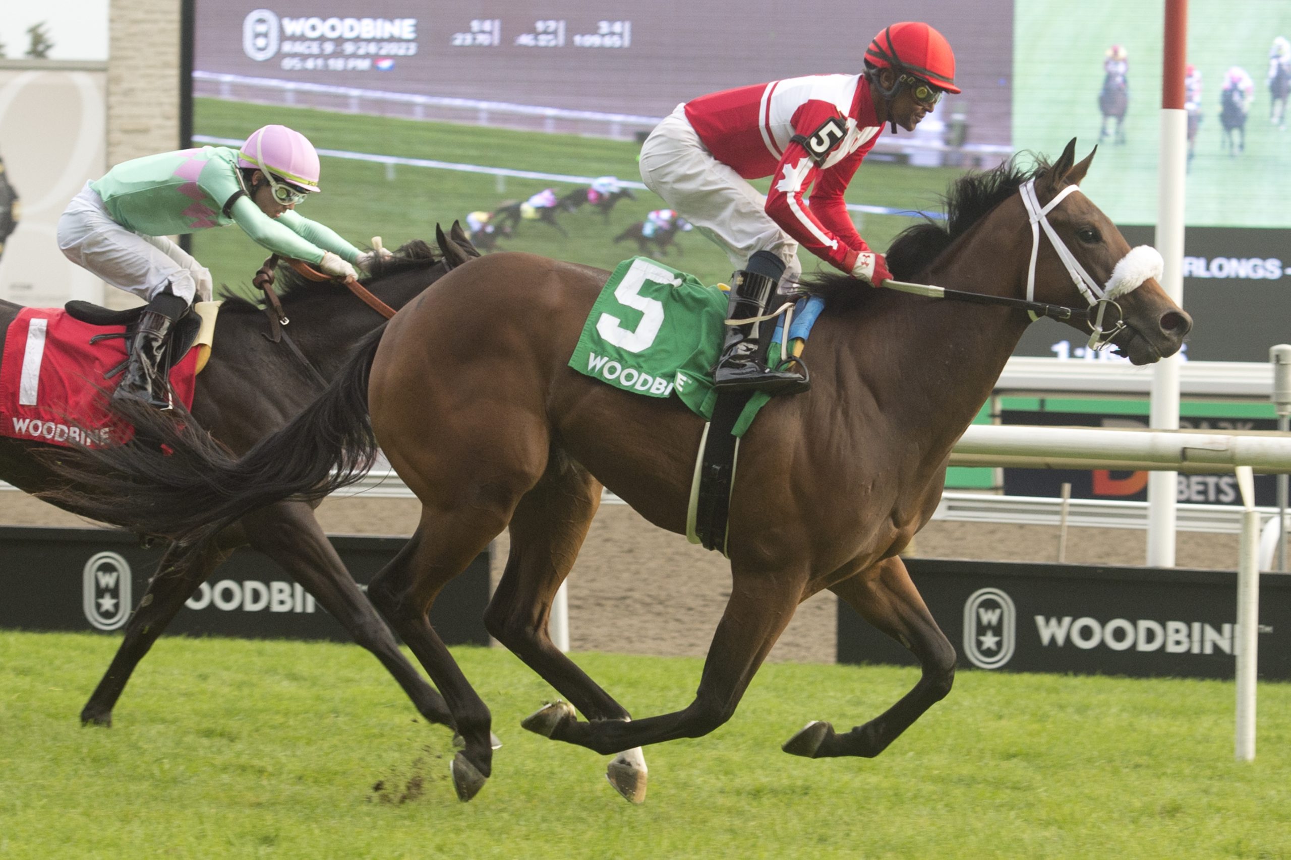 War Painter is the queen of the Victorian Queen - Woodbine Racetrack