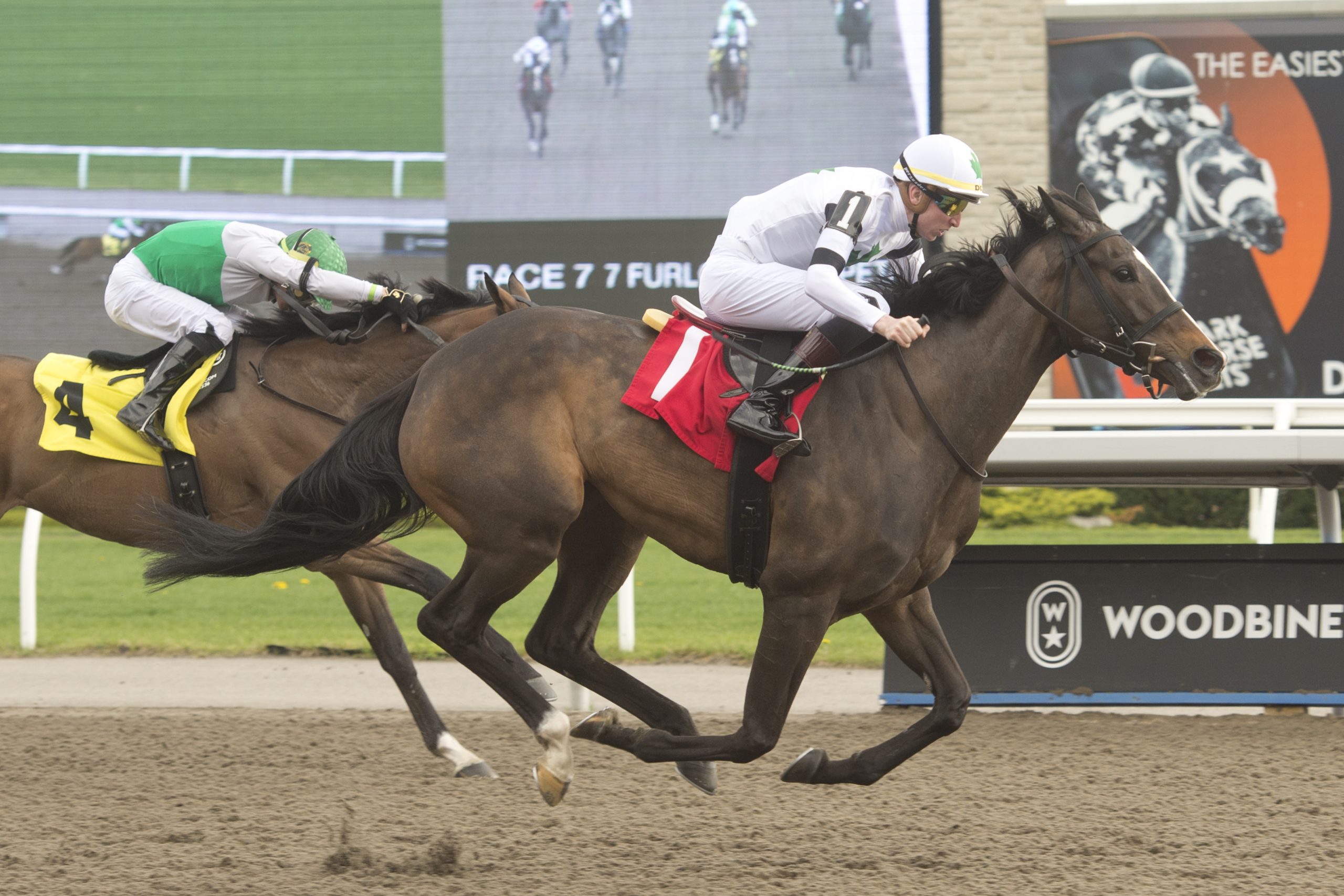 Millie Girl looks to make the grade in G3 Seaway - Woodbine Racetrack