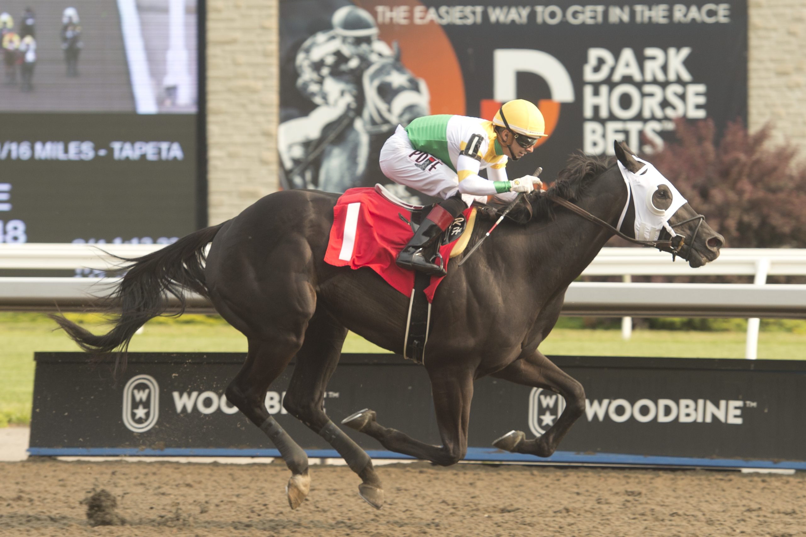 Plate Trial: Field of 12 set for important King’s Plate prep - Woodbine ...