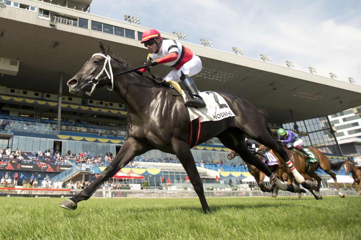 Cairo Consort chases Grade 1 Johnnie Walker Natalma victory - Woodbine ...