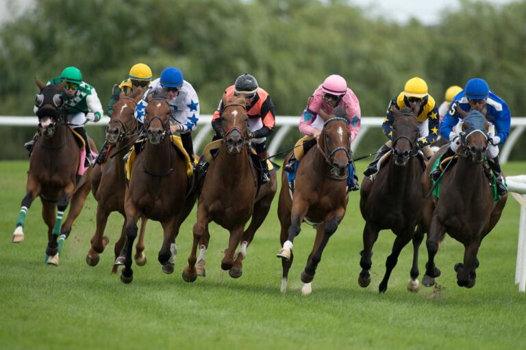 Fall Turf Showcase, Featuring Canadian International - Woodbine Racetrack