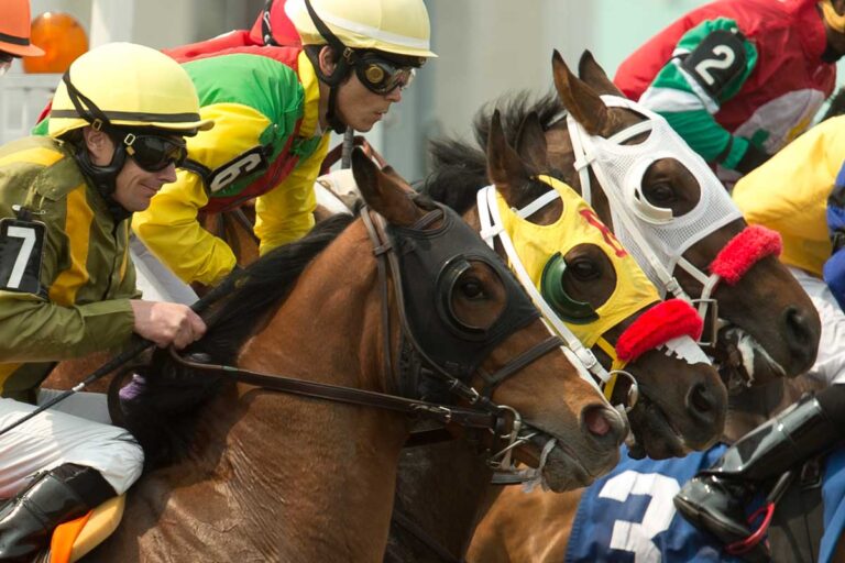 Fall Turf Showcase, Featuring Canadian International - Woodbine Racetrack