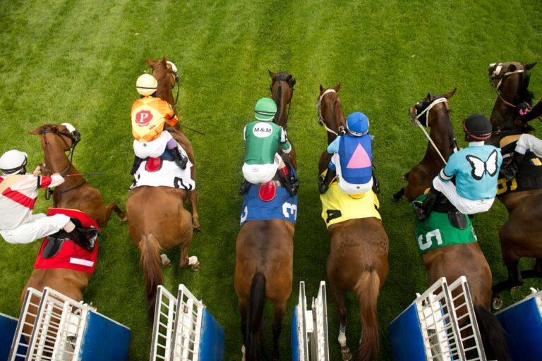 Fall Turf Showcase, Featuring Canadian International - Woodbine Racetrack