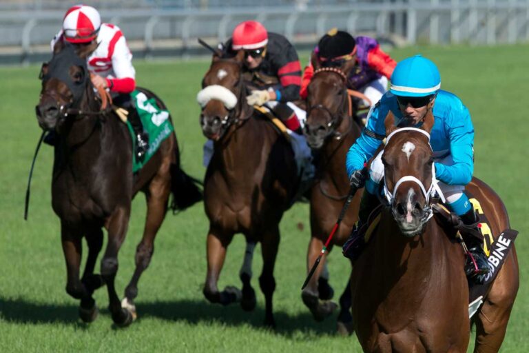 Fall Turf Showcase, Featuring Canadian International - Woodbine Racetrack