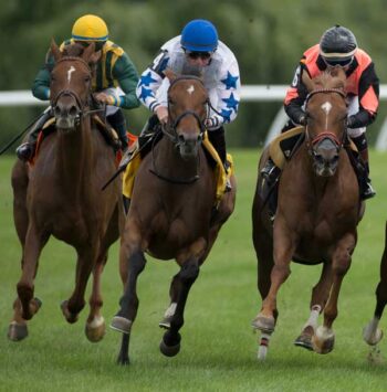 Fall Turf Showcase, Featuring Canadian International - Woodbine Racetrack