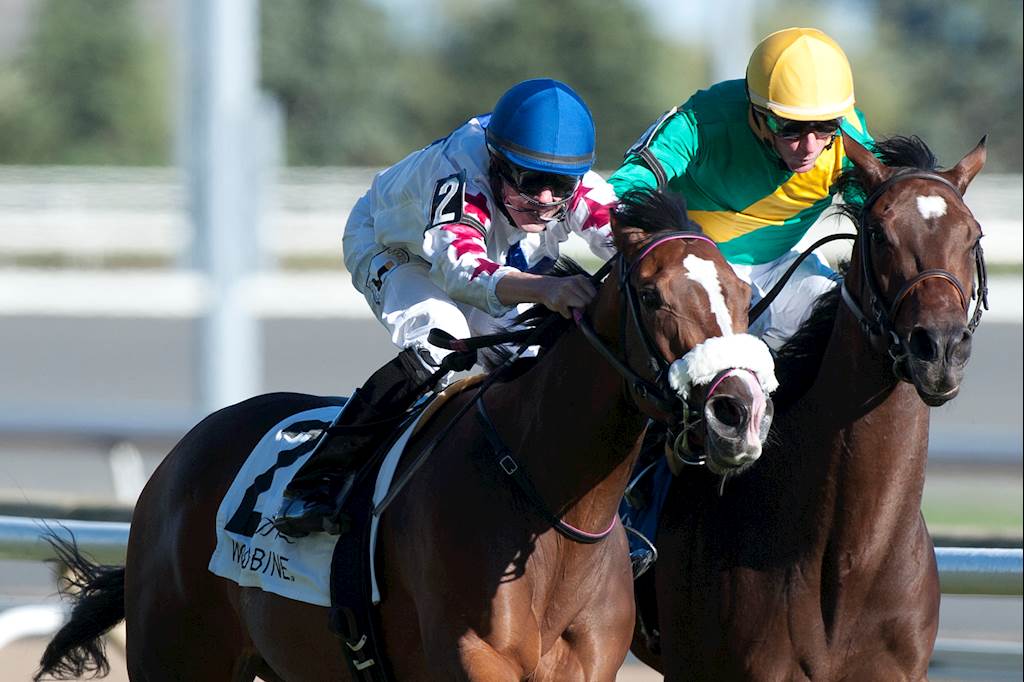 Caren to make her seasonal debut in Whimsical - Woodbine Racetrack