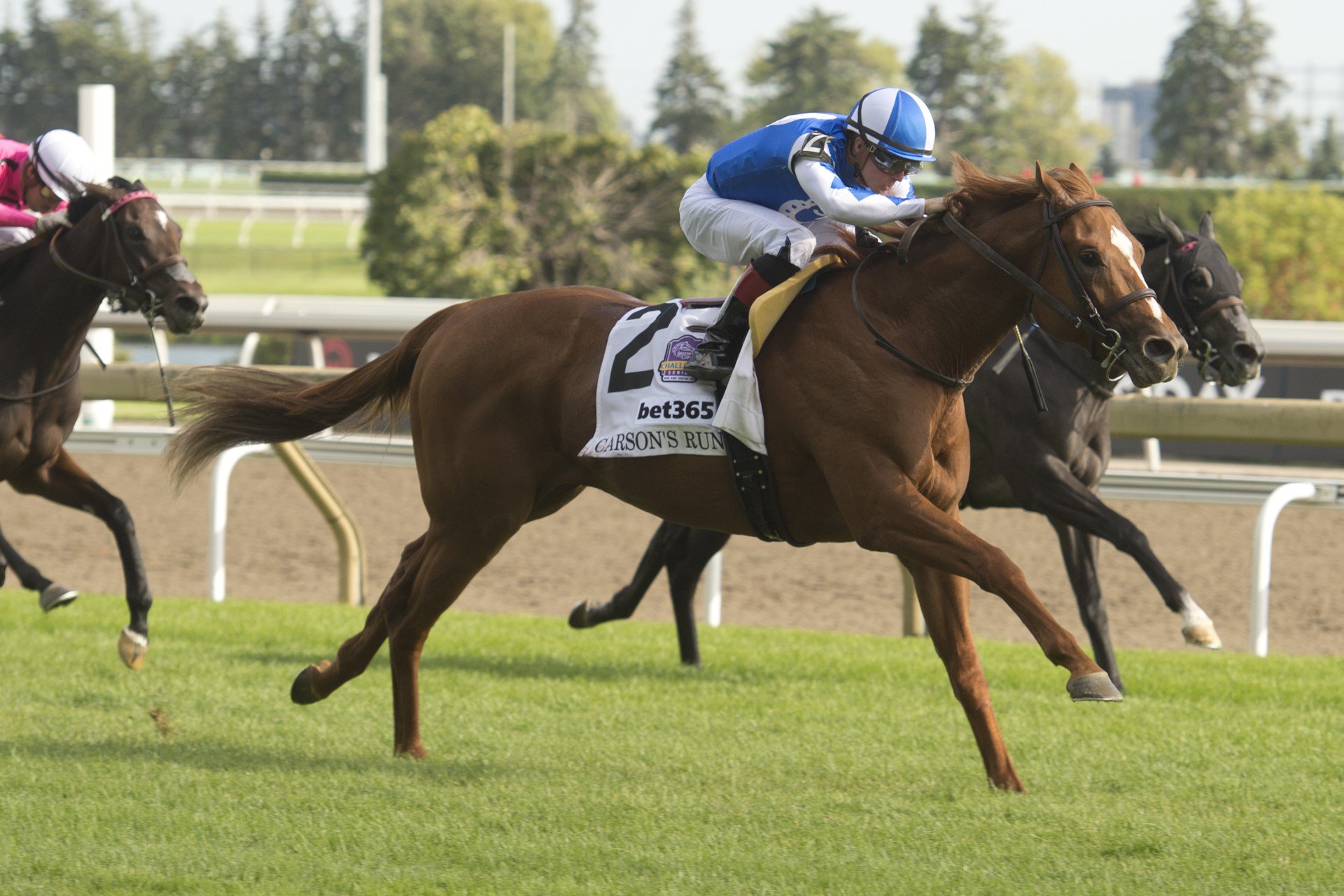 Carson’s Run uses late run to take Grade 1 Summer Stakes - Woodbine ...