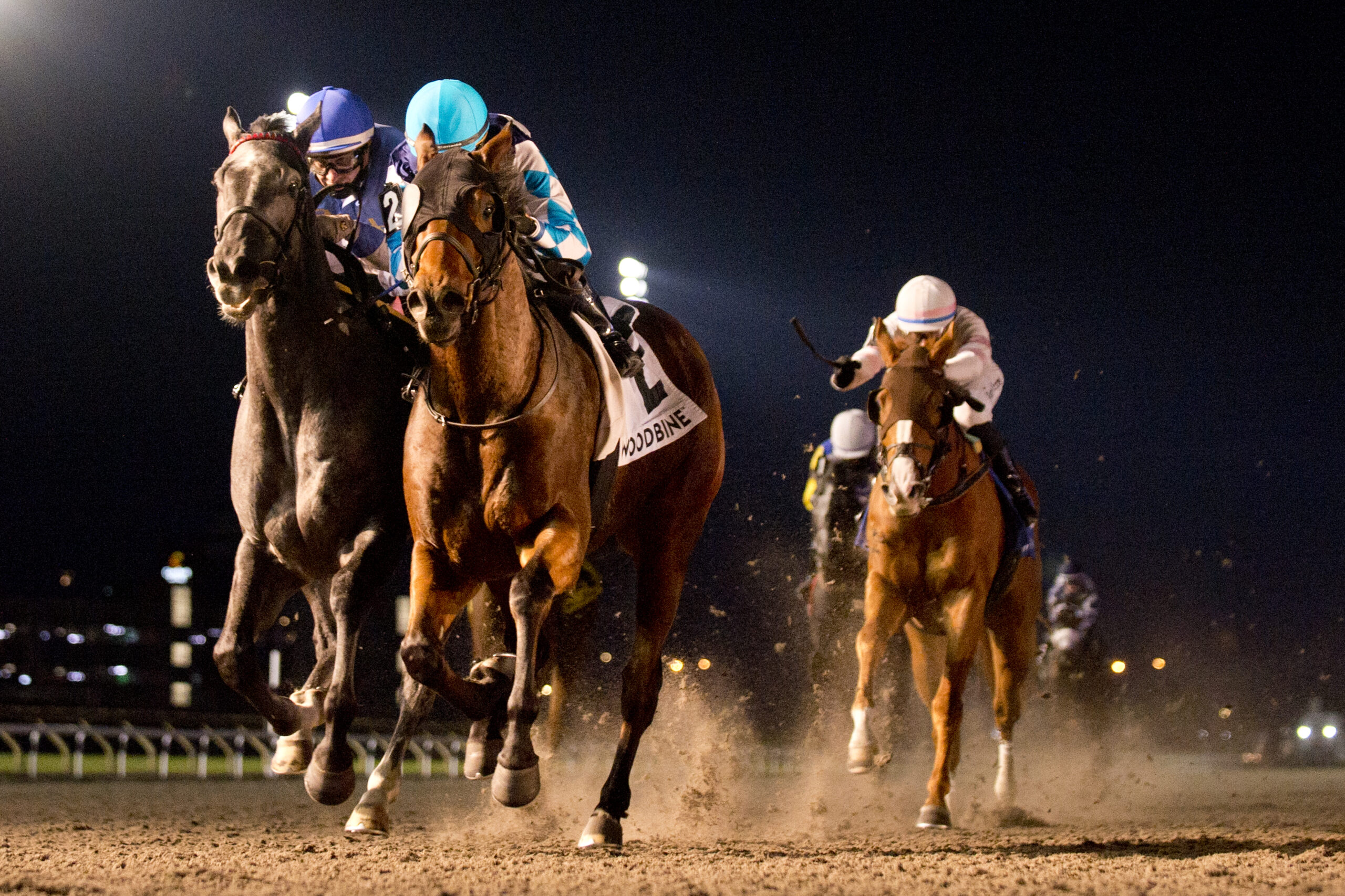 Betting the Jackpot Hi-5 with Handicapper Ed DeRosa - Woodbine Racetrack