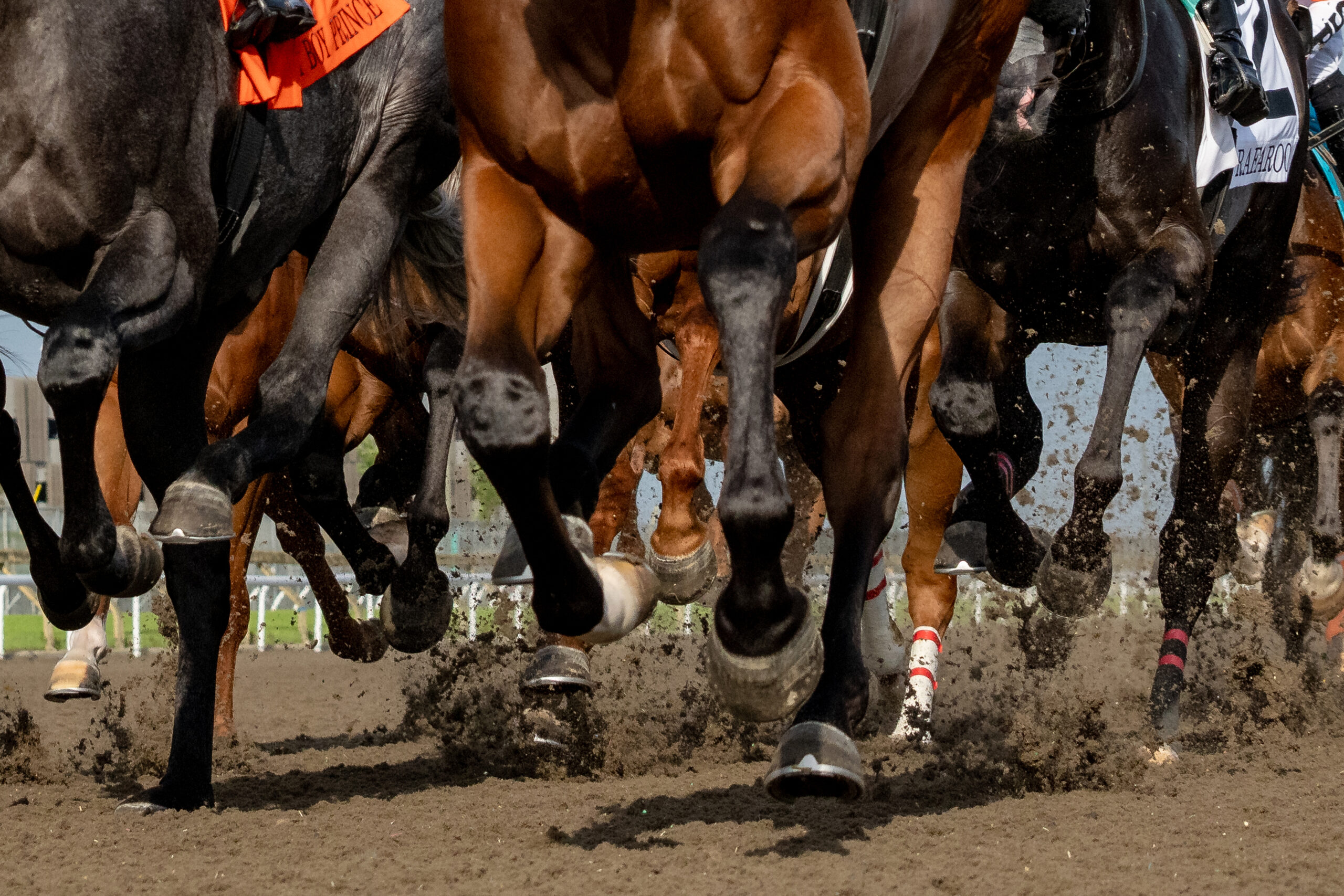 INSIDE THE NUMBERS: How to Best Bet a Pair of Grade 1 Stakes Races at ...