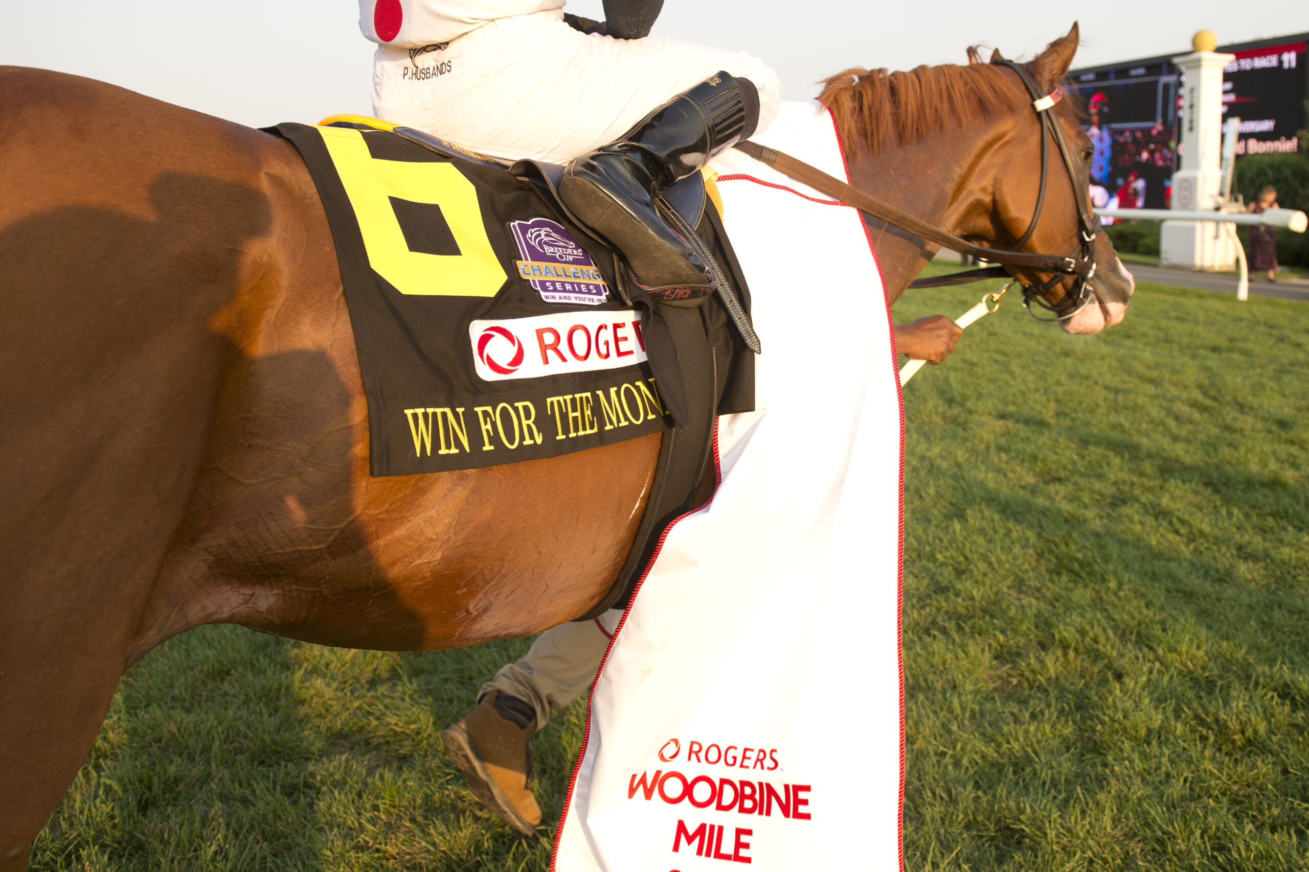 Woodbine releases Turf Champions Day nominations - Woodbine Racetrack