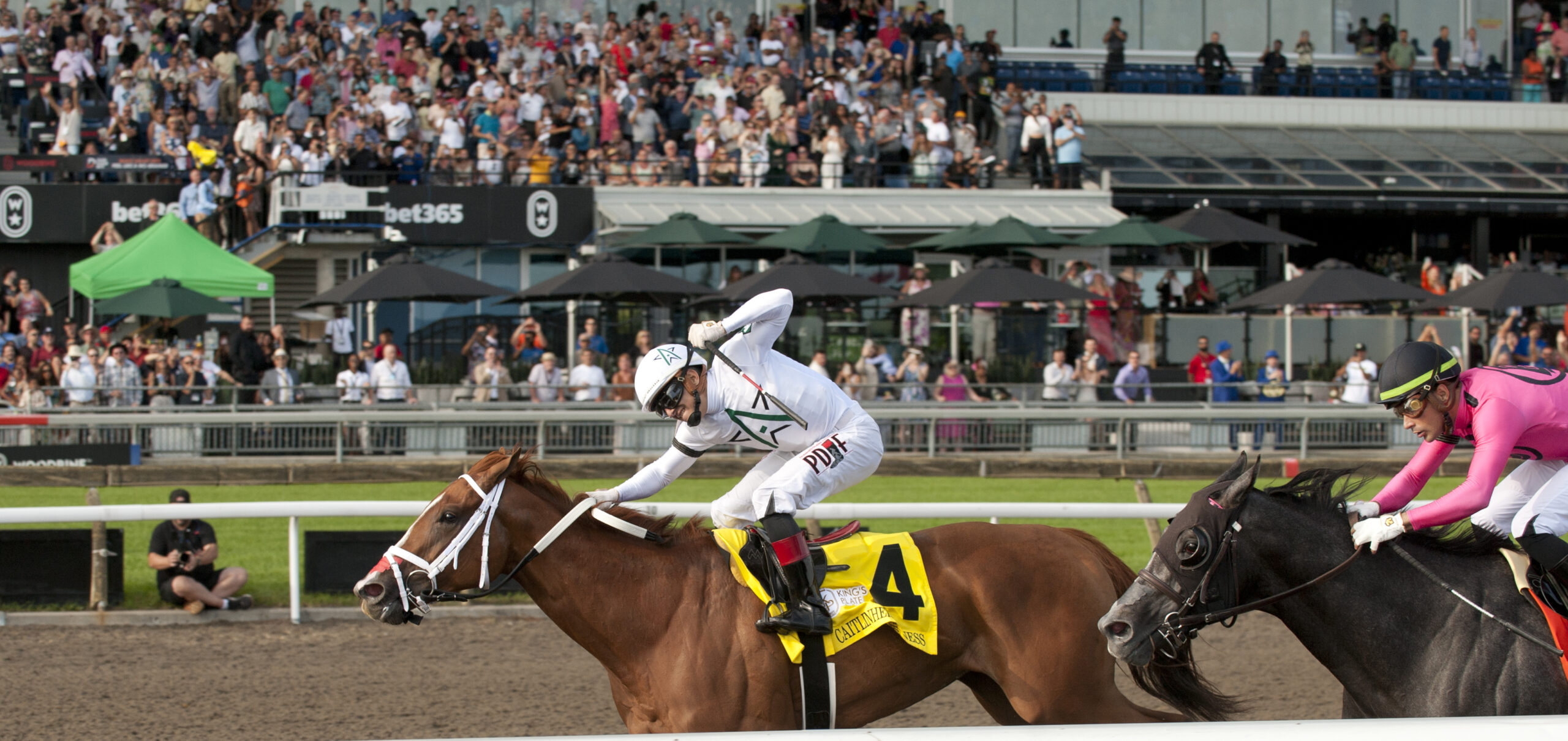 Watch & Wager on The 166th King's Plate - Woodbine Racetrack