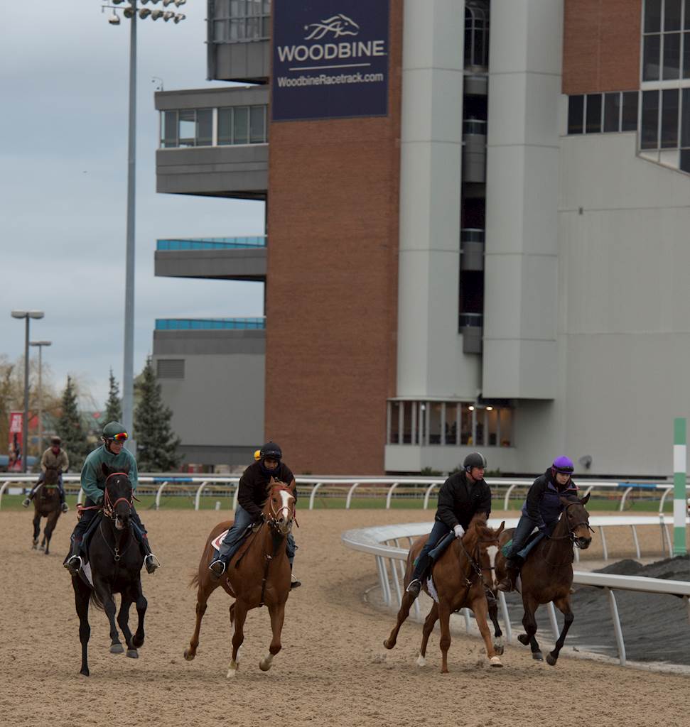 Woodbine’s live Thoroughbred racing season begins Saturday - Woodbine ...