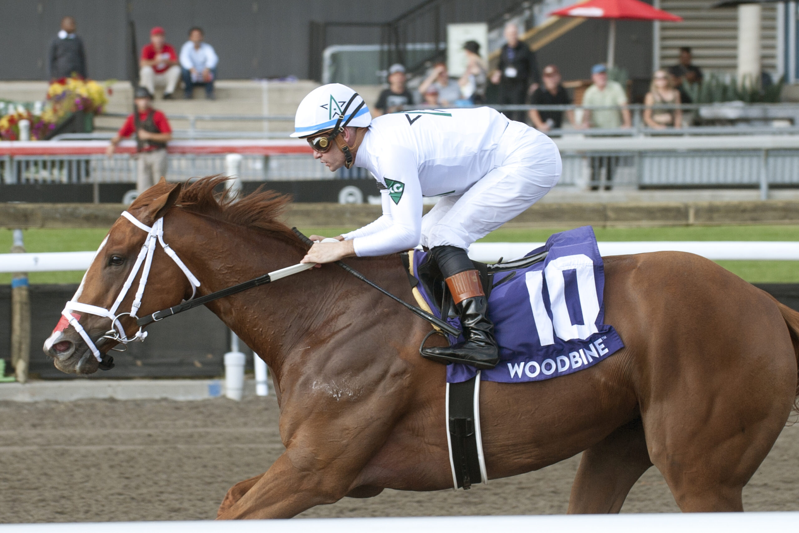 WOT: Show-Stopping Graded Stakes Action at Aqueduct, Churchill Downs ...