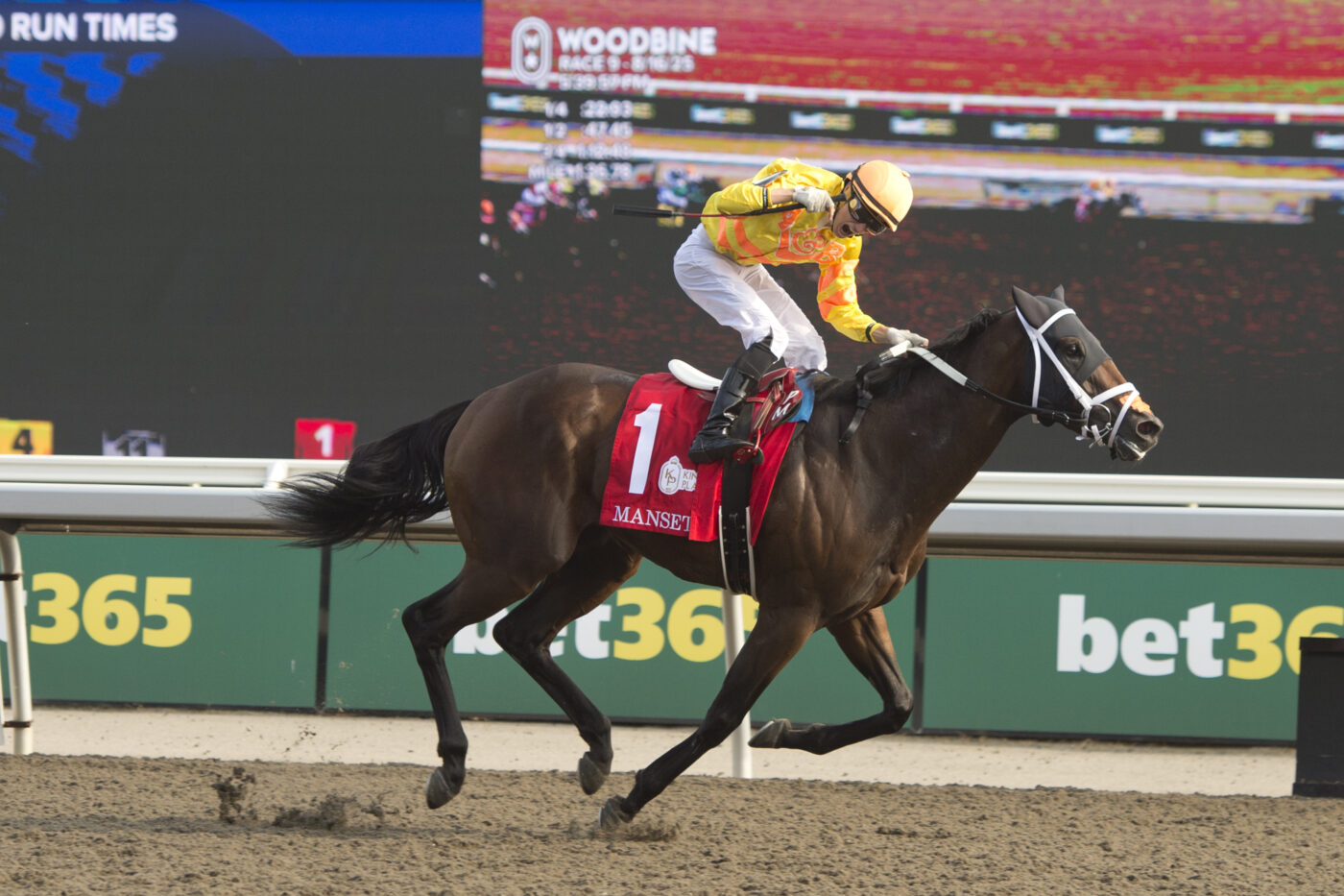 Canadian Triple Crown bound? Mansetti primed for Prince of Wales test ...