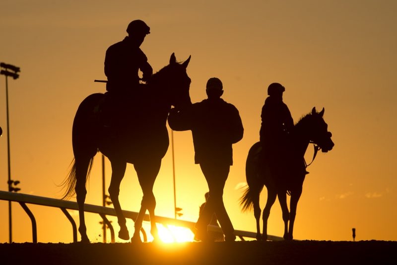 Race Day - Woodbine Racetrack
