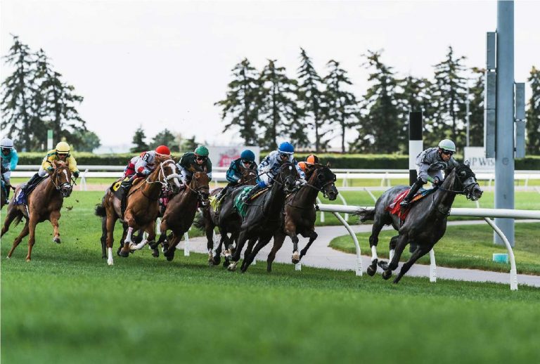 HPIbet Appreciation Day - Woodbine Racetrack