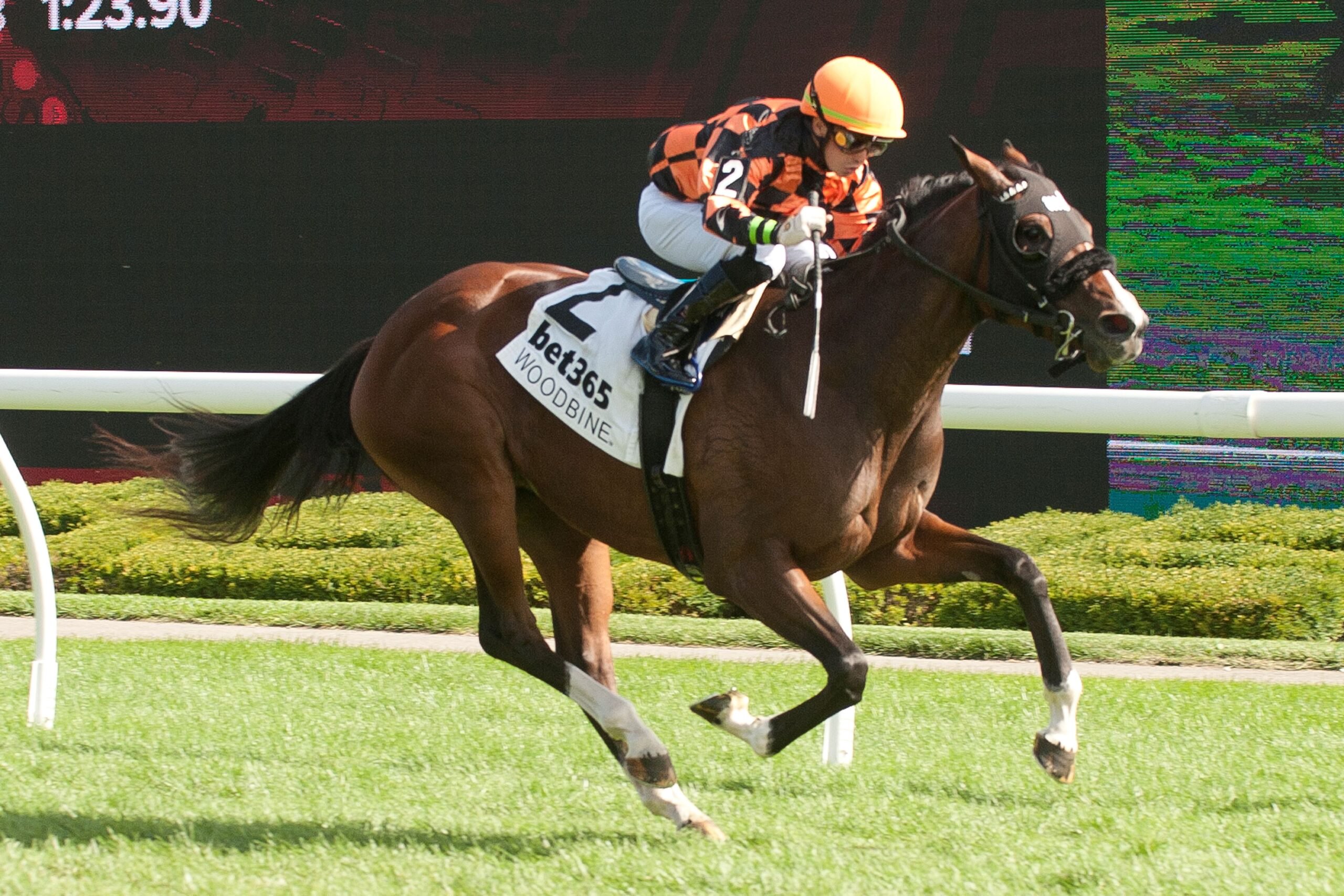 Inside Track: August 30-September 1 - Woodbine Racetrack
