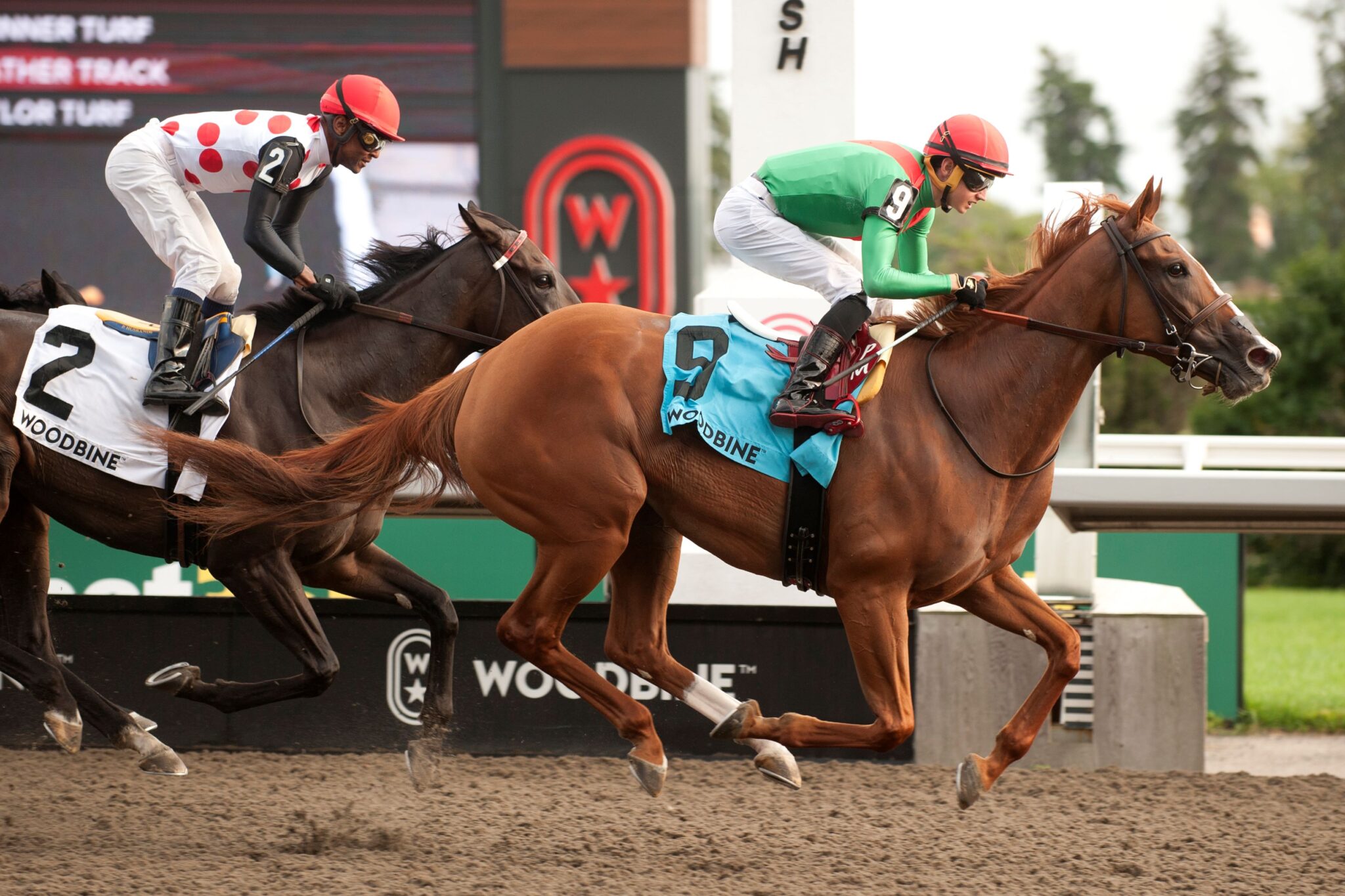 Inside Track for August 23-24 - Woodbine Racetrack