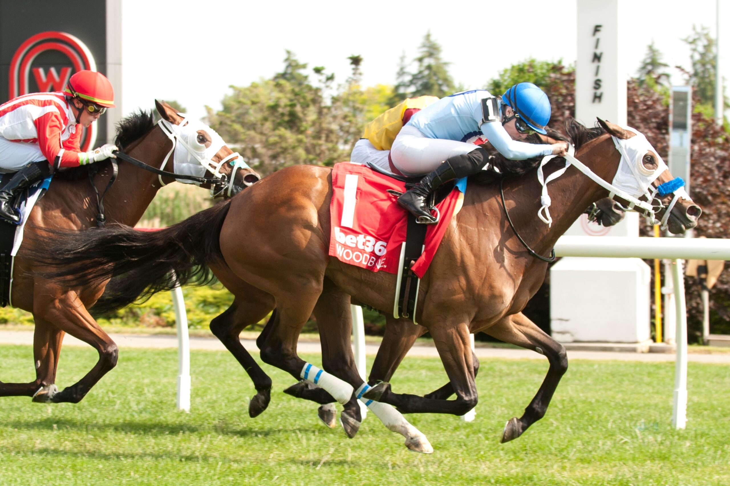 Inside Track for June 14-15 - Woodbine Racetrack