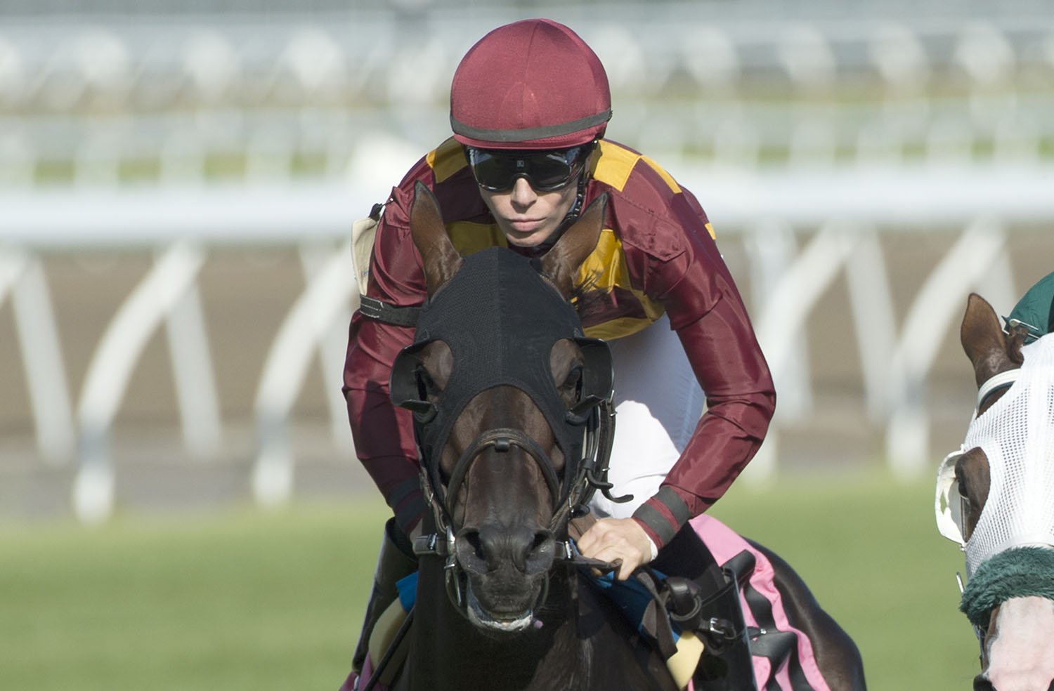 Emma-Jayne Wilson returns Friday: “I don’t get excited that much, but I ...