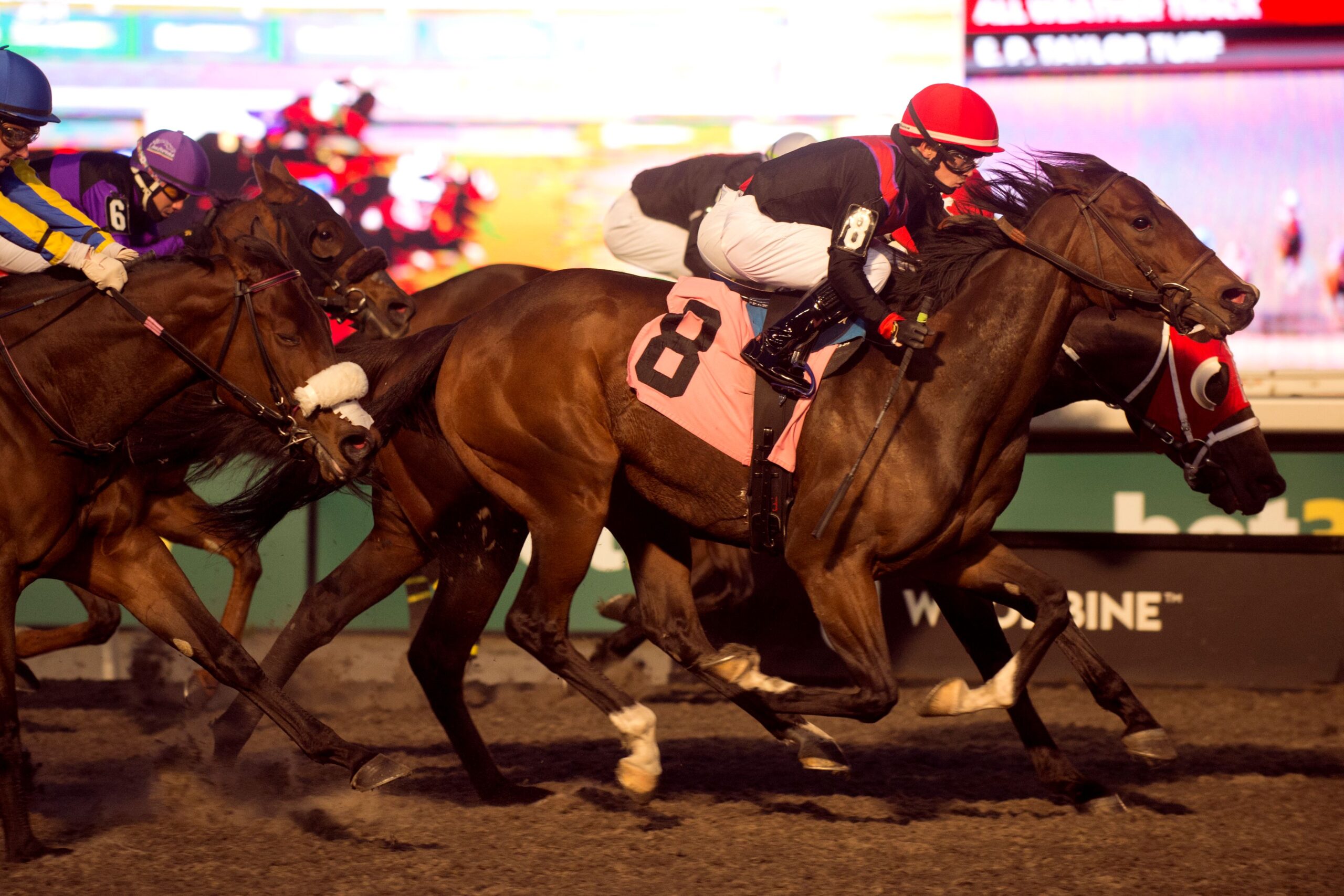 Inside Track for November 22-23 - Woodbine Racetrack