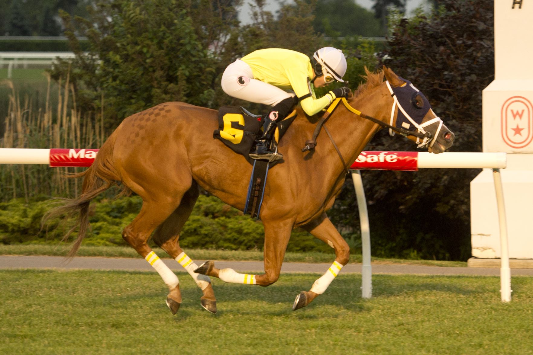 Slevinsky reveling in her life in the saddle - Woodbine Racetrack