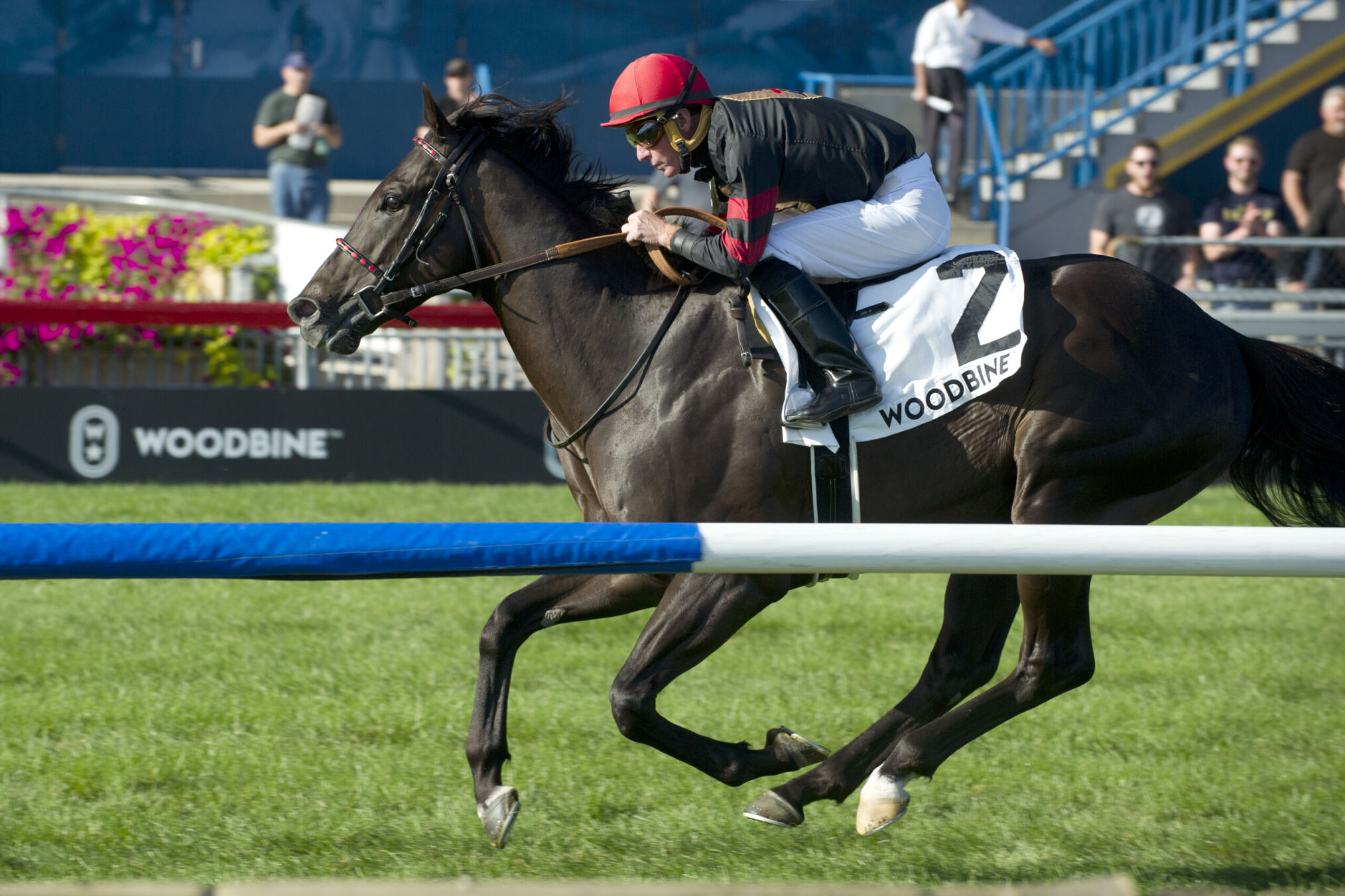 Canadian hall of fame rider Gary Boulanger announces his retirement ...