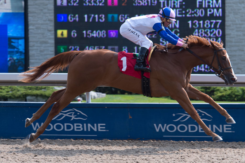 Day Phillips trainees top contenders in Woodbine stakes - Woodbine ...