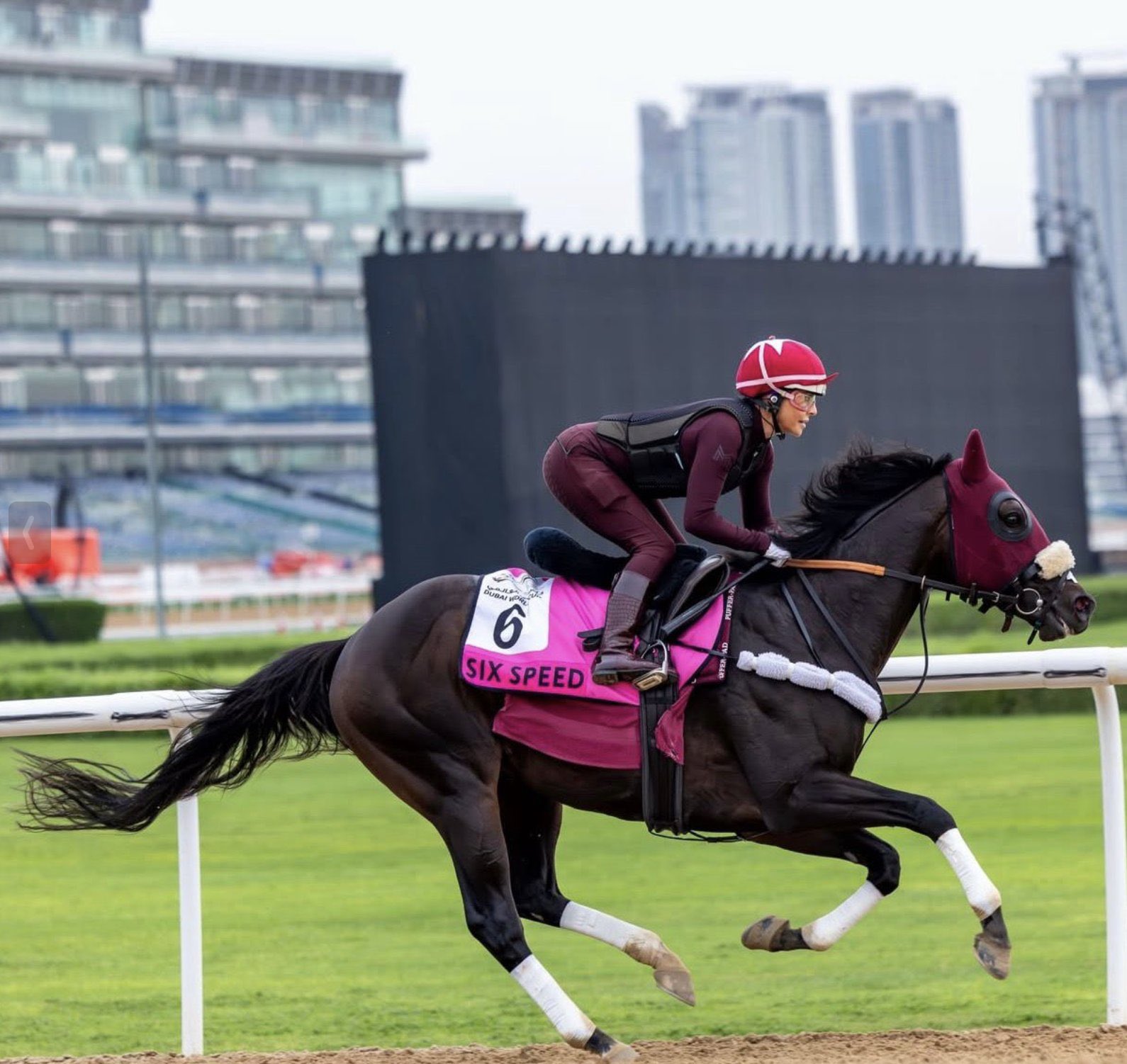 Tackling This Weekend's Kentucky Derby Preps with Ed DeRosa - Woodbine ...