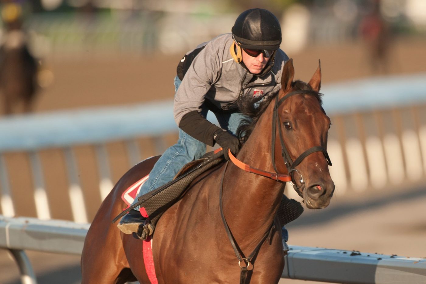 5 Furlongs - Kevin Attard - Woodbine Racetrack