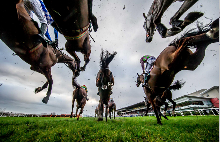 What to Watch This March On HPITV - Woodbine Racetrack