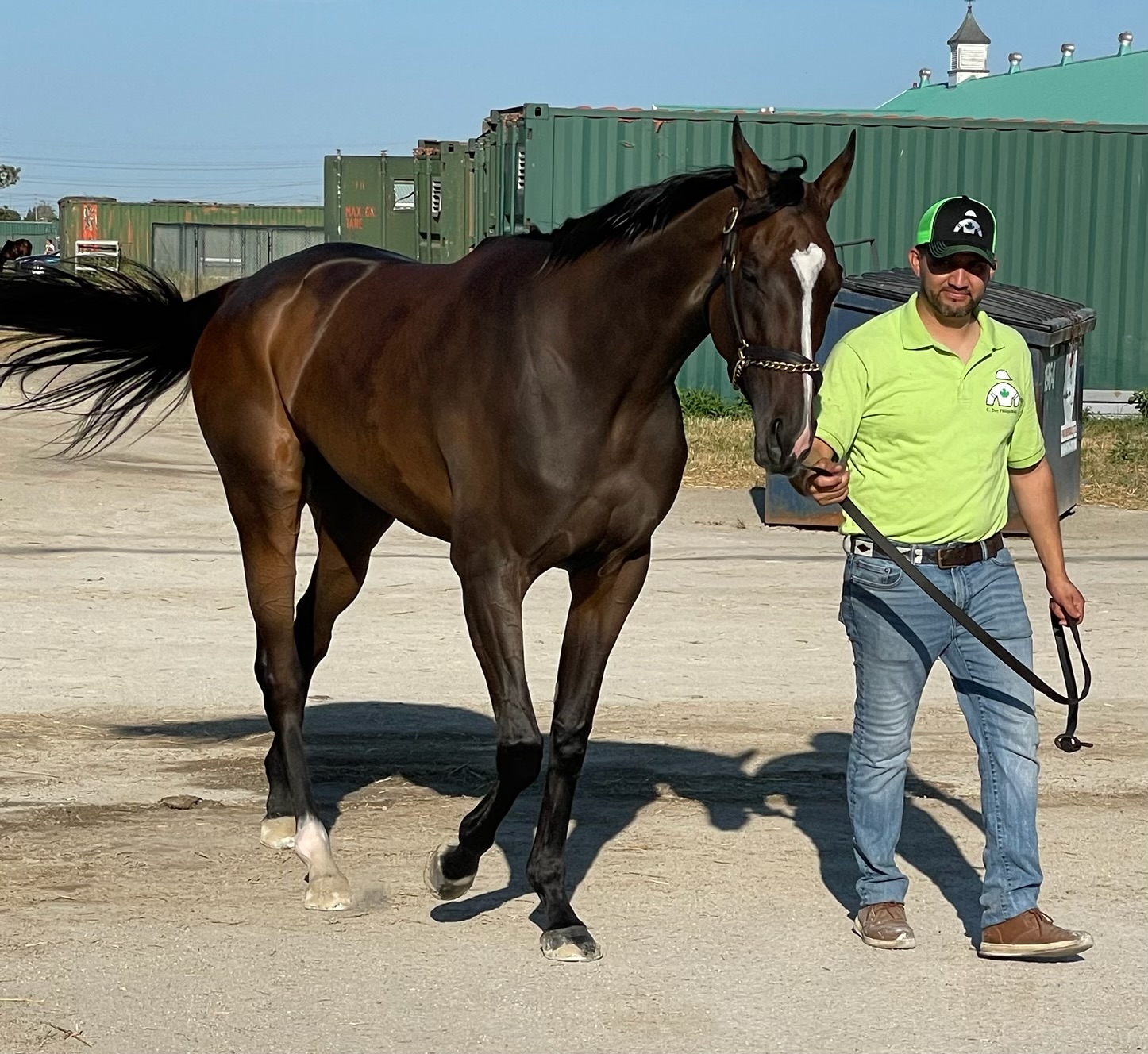 September Horse Person of the Month: Angel Romo Sotelo - Woodbine Racetrack