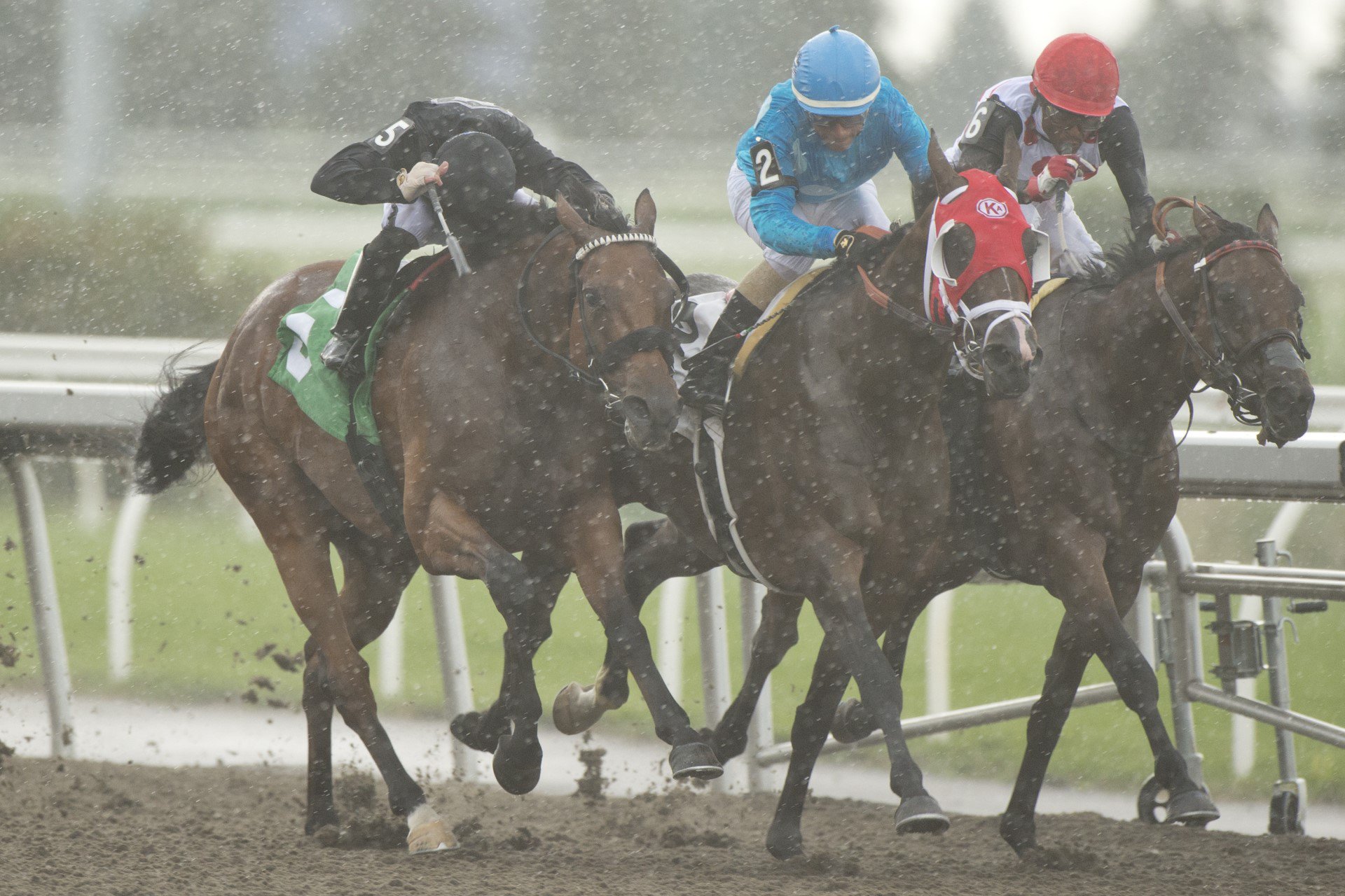 Il Malocchio by a head in thrilling renewal of Trillium Stakes ...